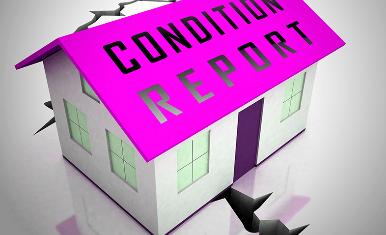 Schedule of Condition Report Useful | Icon Surveyors